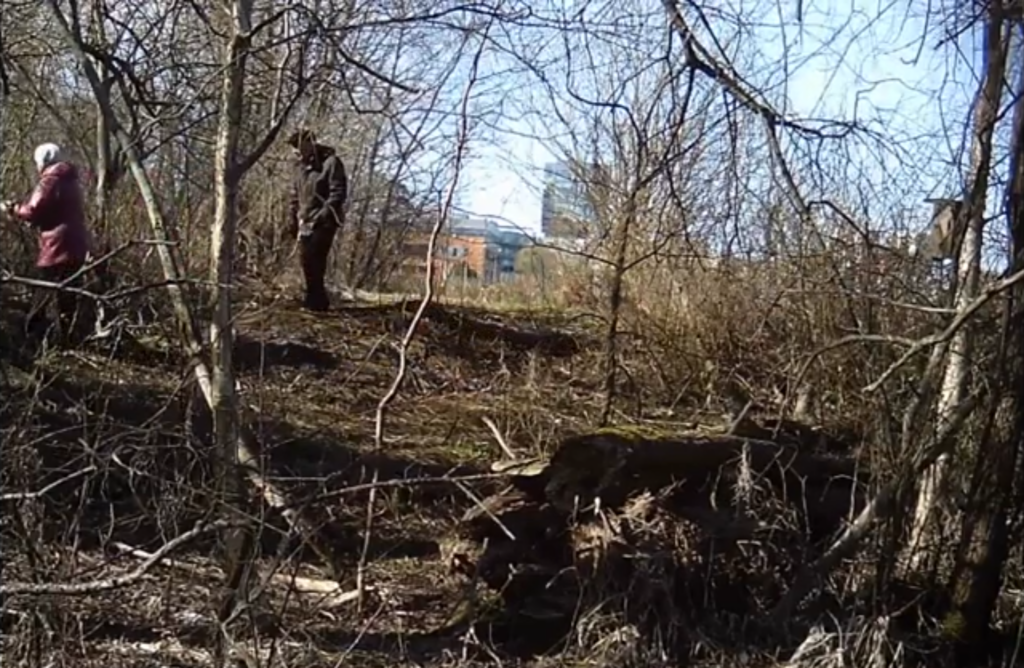 Lurking around at the birdhouse - The Tree Spy