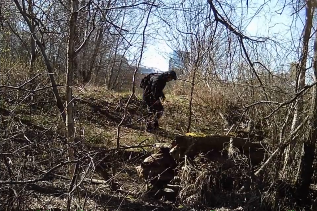 Something caught his eye - The Tree Spy