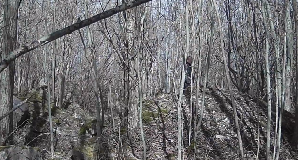 Creeper at the pipe - The Tree Spy