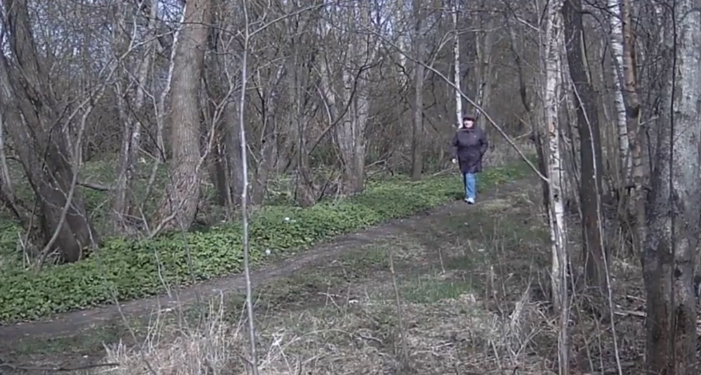 Taking in nature - The Tree Spy