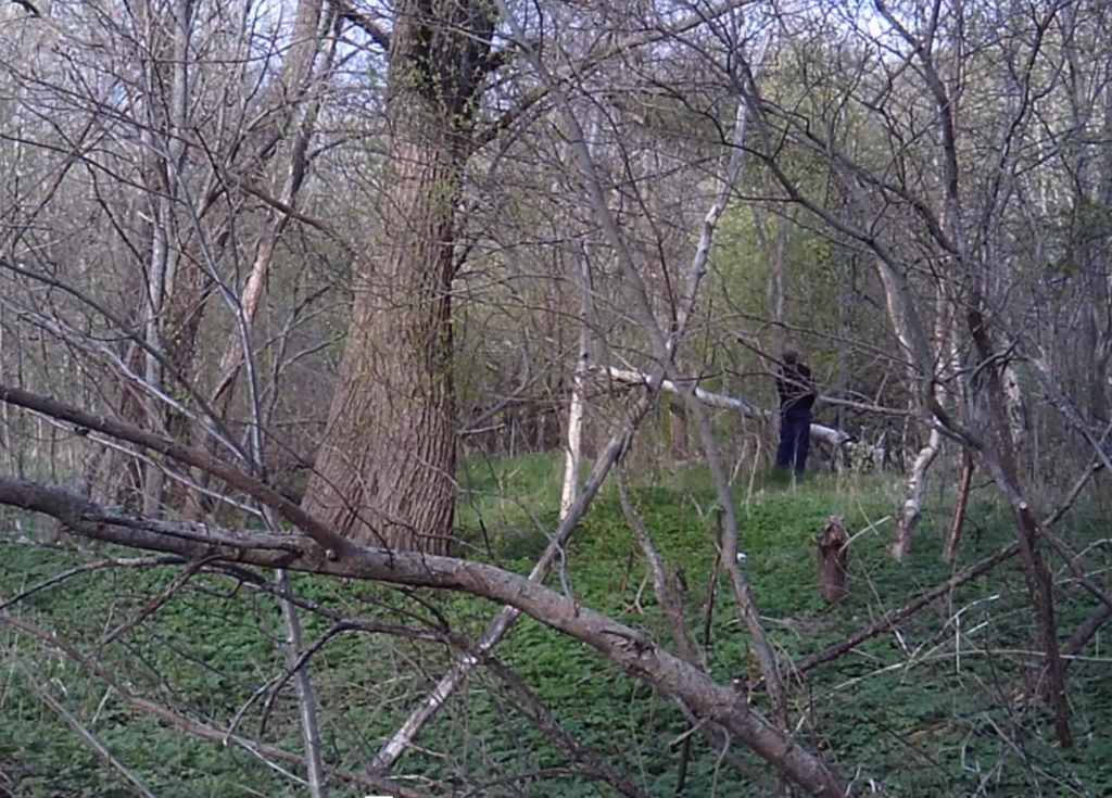 Women popping squats - The Tree Spy