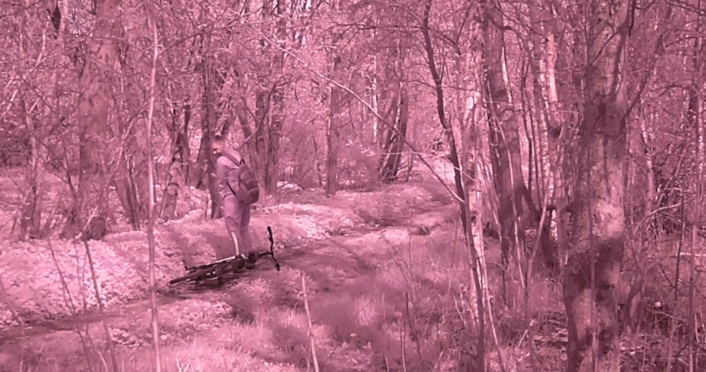 Watering trees and giving a shake - The Tree Spy
