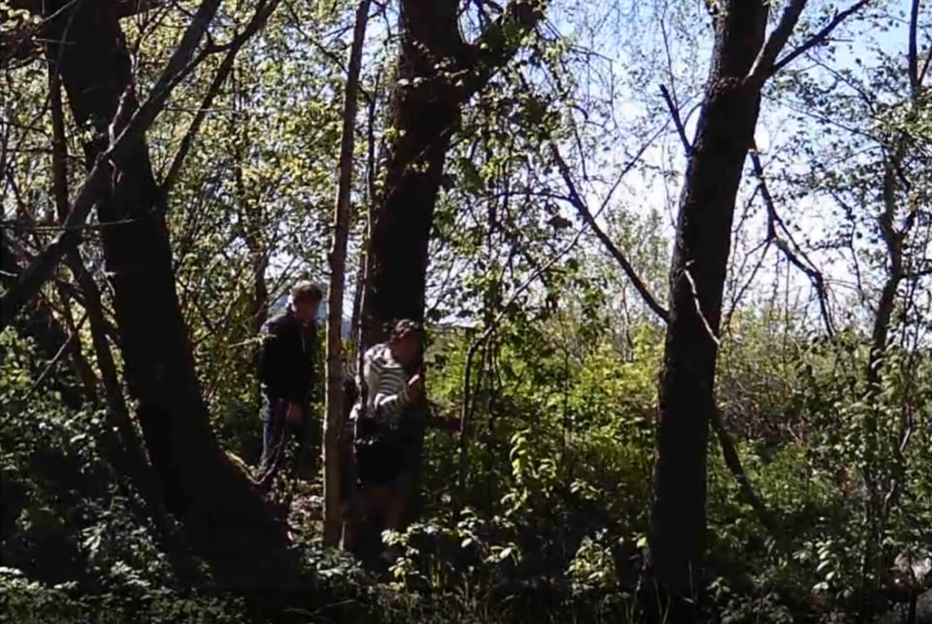 Excuse me sir, ladies first - The Tree Spy