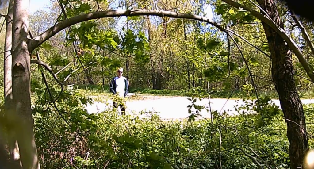 The trail is calling - The Tree Spy