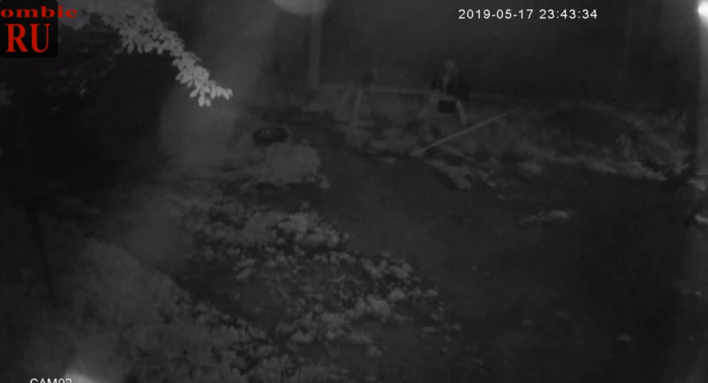 A late night visit - The Tree Spy