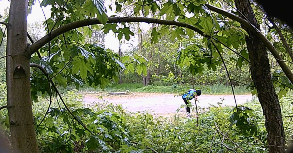 Stop and sniff? - The Tree Spy