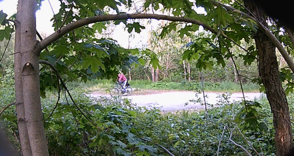 Bike rest stop at the parking lot - The Tree Spy