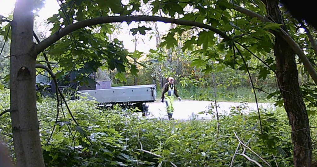 Workers lurking in the lot - The Tree Spy