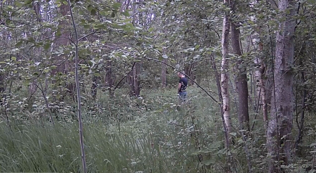 Activity along the pee trail - The Tree Spy