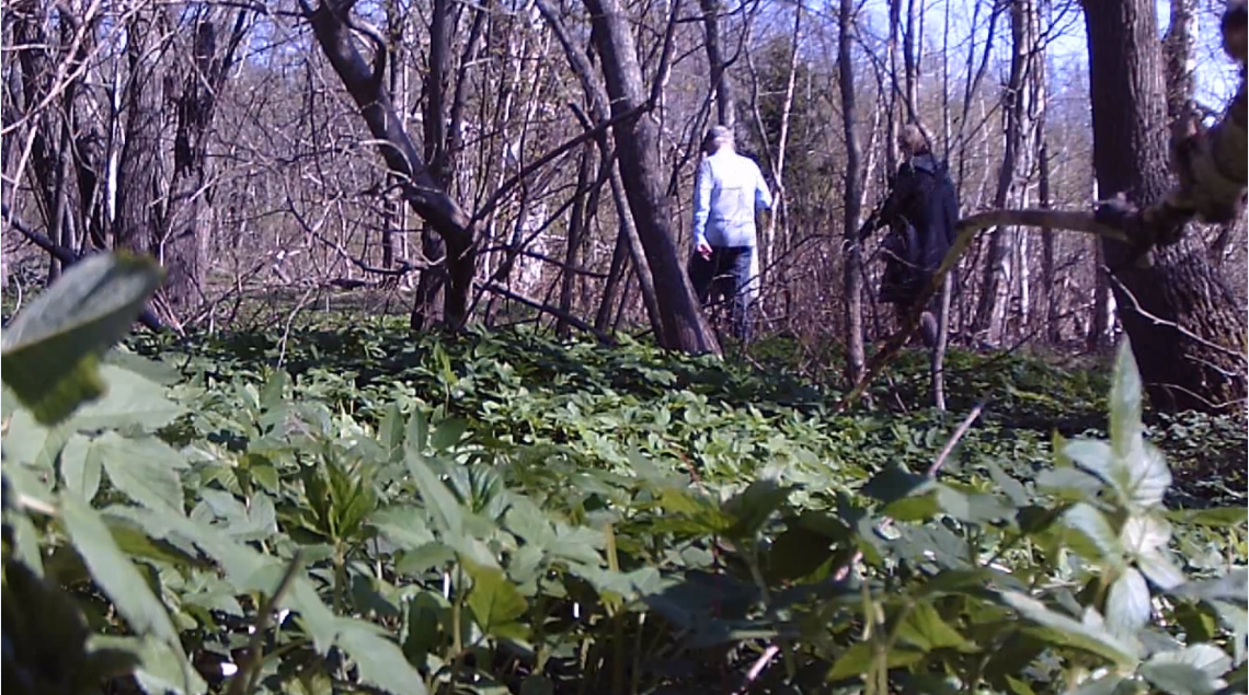 A couple on the pee trail - The Tree Spy