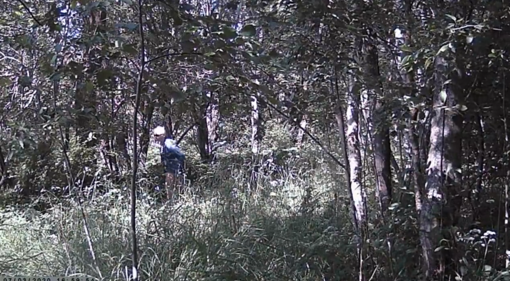 Just pull it to the side - The Tree Spy