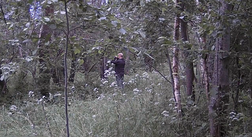 Bird watching or people spotting? - The Tree Spy