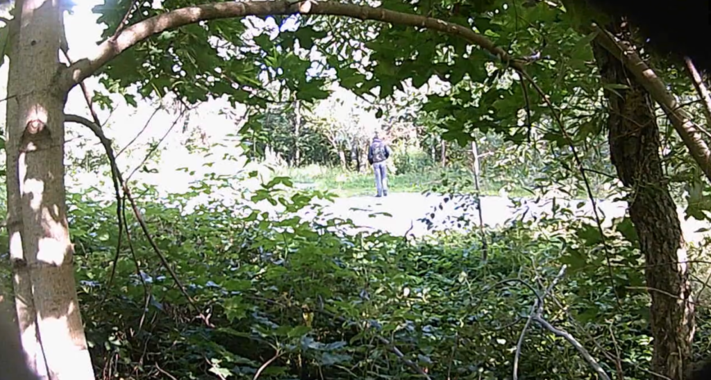 Creeping around the lot - The Tree Spy