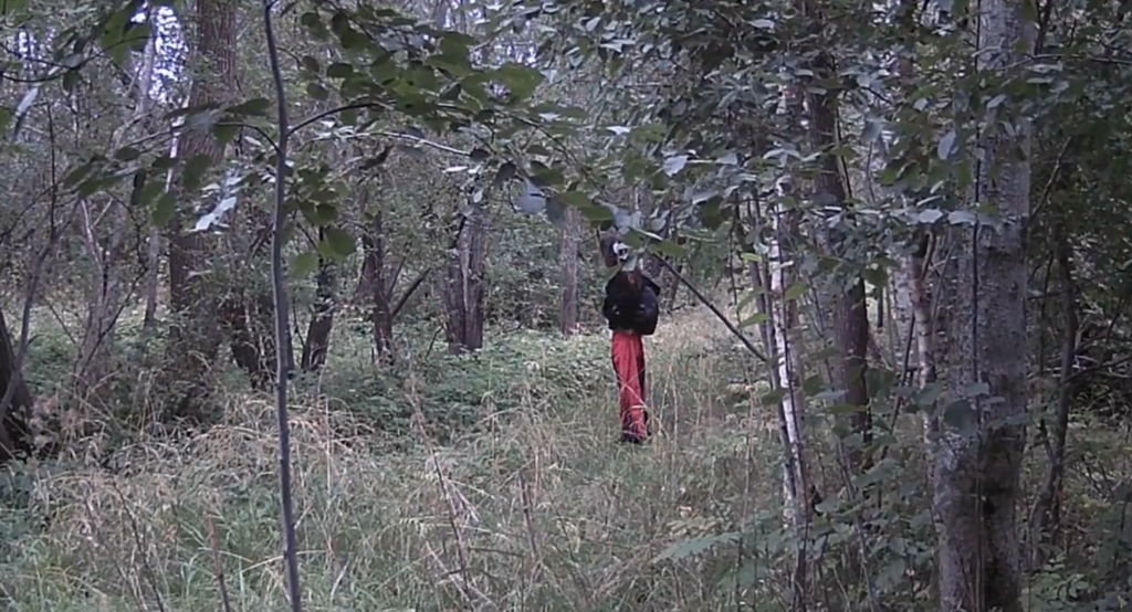 More Women At The Pee Trail The Tree Spy