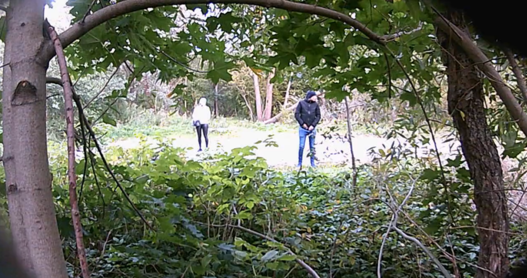 Streams flowing from every direction - The Tree Spy
