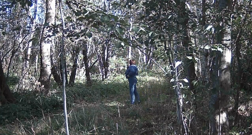 Hiding in the trees - The Tree Spy